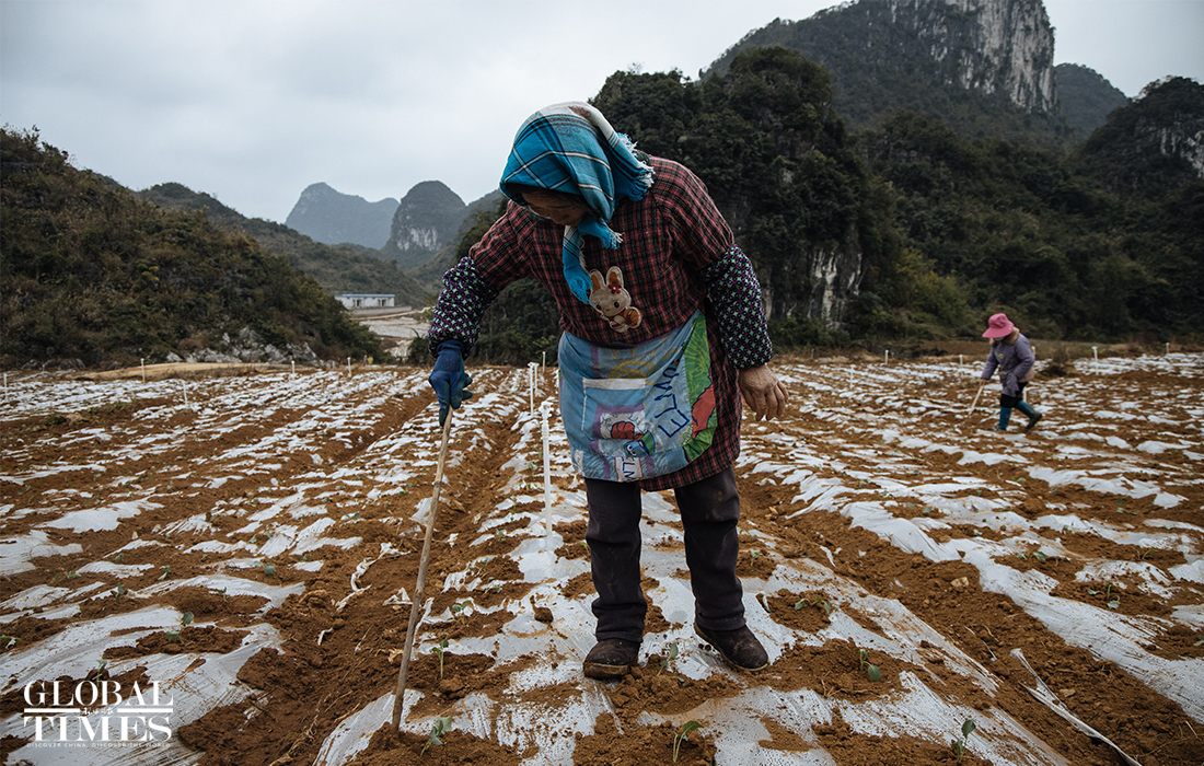 Working class farmers - Global Times