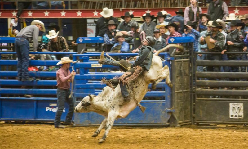 2020 World Finals for International Miniature Bull Rider competition ...