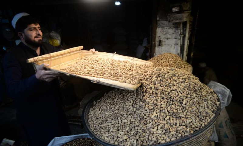Peanuts popular among Pakistani people in winter - Global Times
