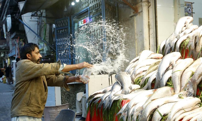 Road side fish market in Rawalpindi, Pakistan - Global Times