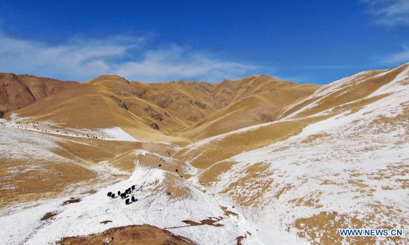 Scenery of Qilian County in Qinghai - Global Times