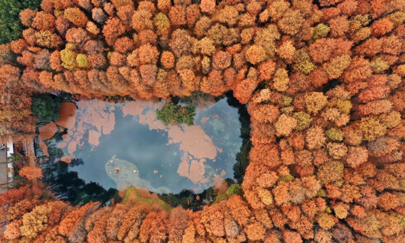 Aerial view of Donghu Lake in Wuhan - Global Times