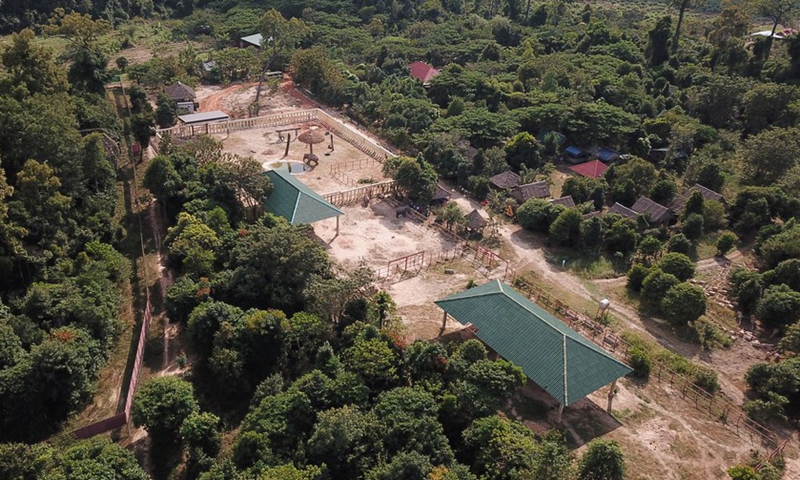 Lonely Pakistan elephant quickly adapts to new home in Cambodia ...