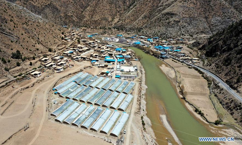 Vegetables no more rarities in Tibet thanks to modern agriculture ...