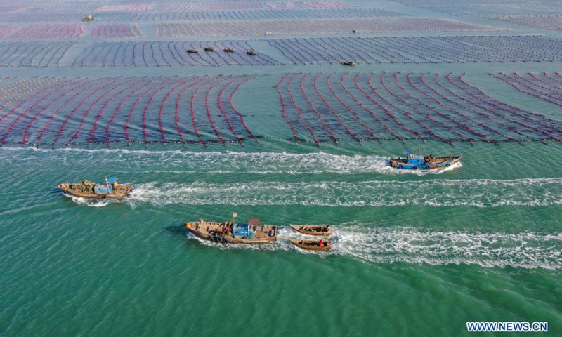 People work on marine ranch in Rongcheng, Shandong - Global Times