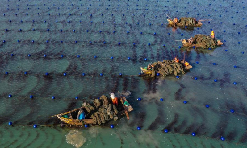 People work on marine ranch in Rongcheng, Shandong - Global Times