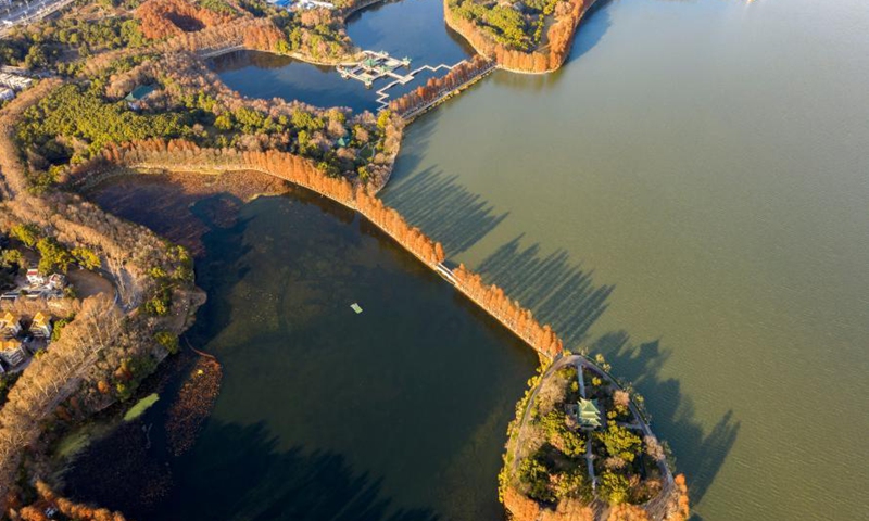 Winter scenery of Donghu Lake in Wuhan - Global Times