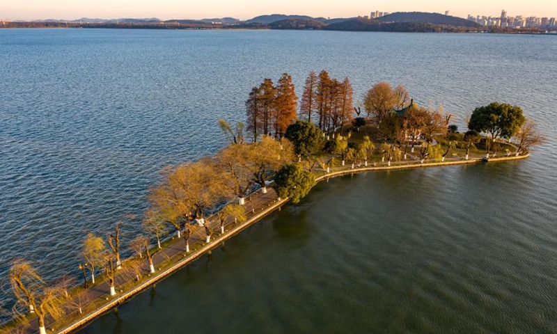 Winter scenery of Donghu Lake in Wuhan - Global Times