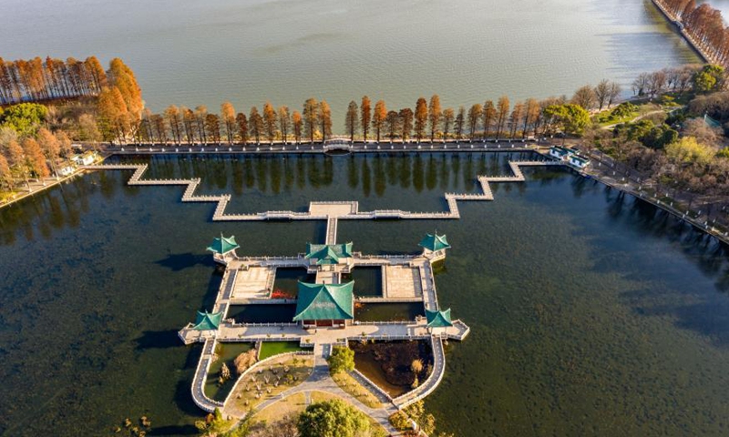 Winter scenery of Donghu Lake in Wuhan - Global Times