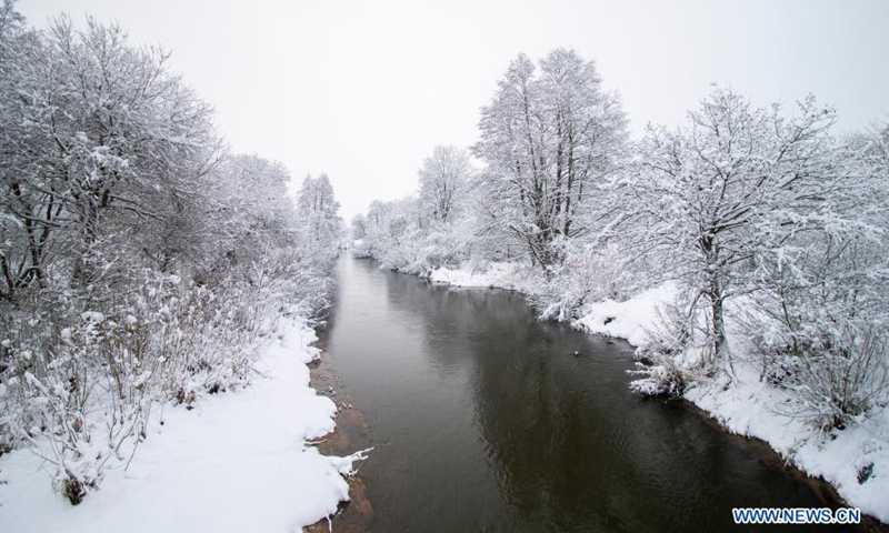 Snow scenery of Belovezhskaya Pushcha in Belarus - Global Times