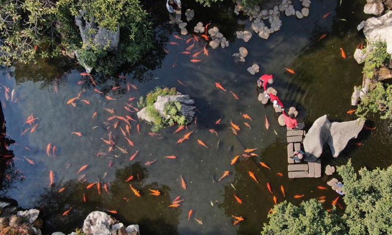 Scenery of Qinghui Garden in Foshan City, Guangdong - Global Times