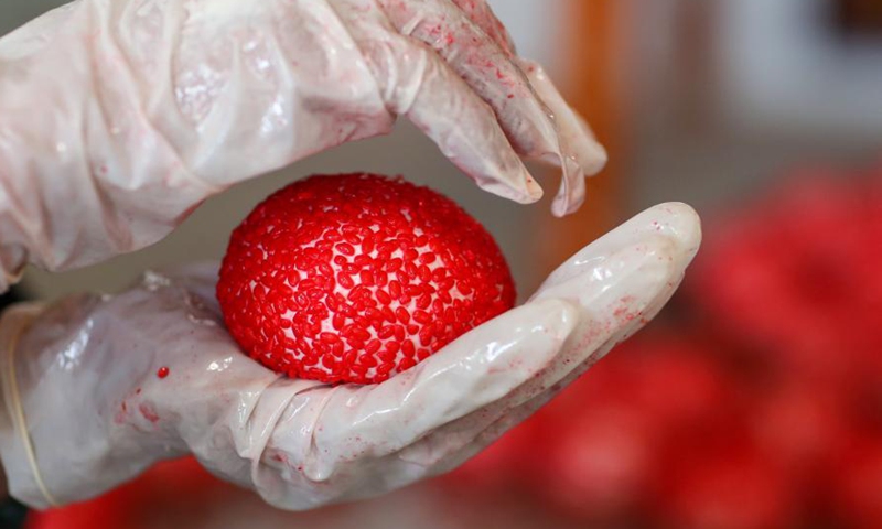 Villagers make red Ciba to prepare for upcoming Chinese Spring Festival ...