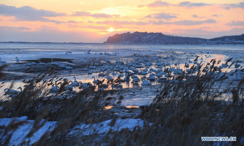 Sunset scenery at lake in Rongcheng, Shandong - Global Times