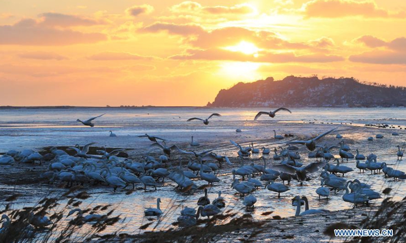 Sunset scenery at lake in Rongcheng, Shandong - Global Times