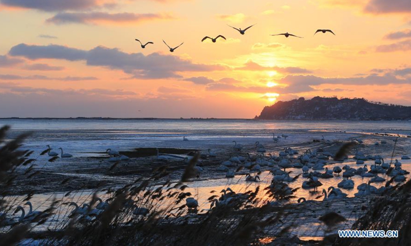 Sunset scenery at lake in Rongcheng, Shandong - Global Times