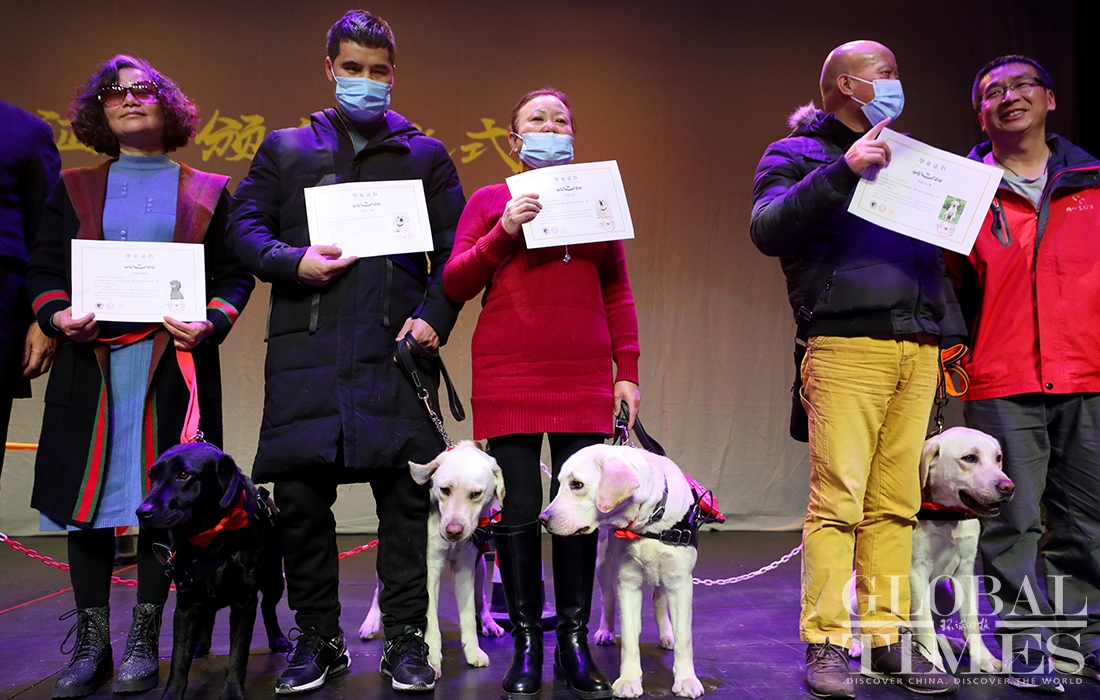 Graduating guide dogs to help visually impaired people in Shanghai ...
