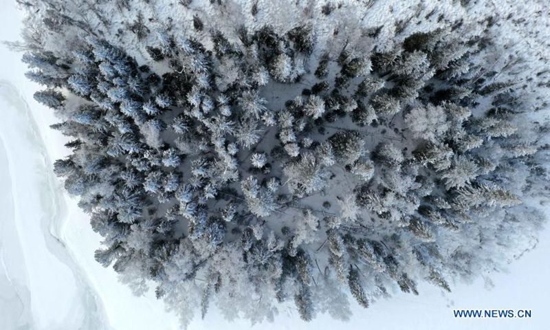 Snow scenery at Kanas scenic area in Xinjiang - Global Times