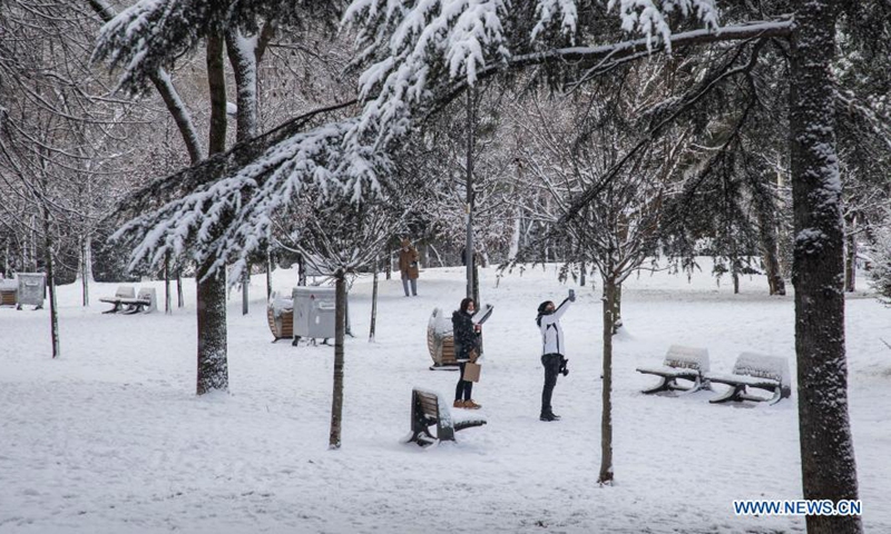 Snowfall disrupts land, sea traffic in Turkey's Istanbul - Global Times