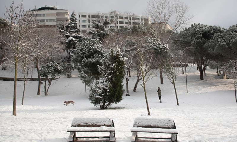 Snowfall disrupts land, sea traffic in Turkey's Istanbul - Global Times