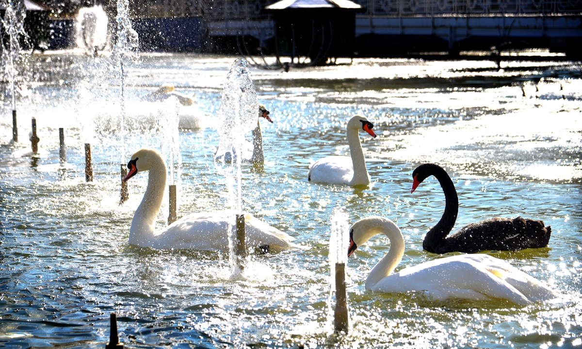 'I told you we should have flown south!' - Global Times