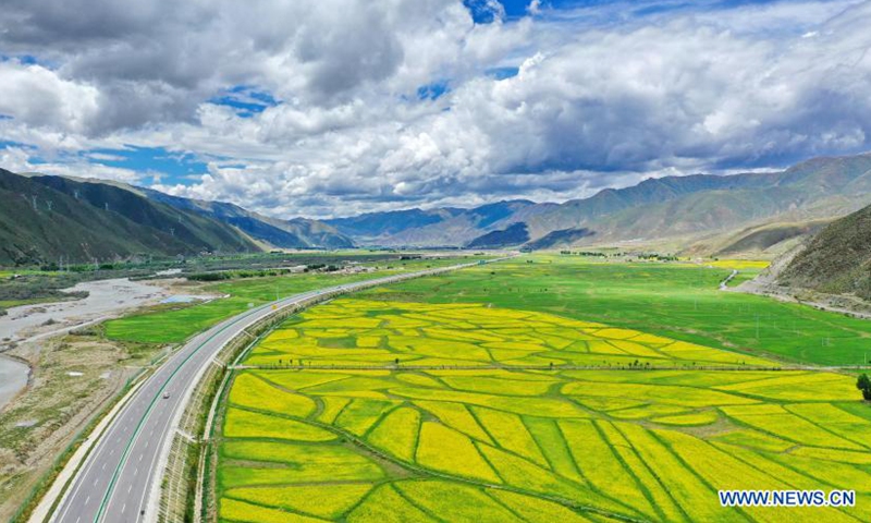 Rural highway and high-grade road network set up in Tibet - Global Times