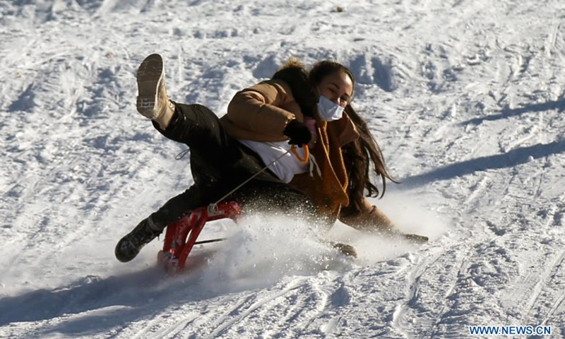 Turkey Sled
