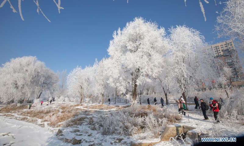 Visitors enjoy frosty scenery along Songhua River in Jilin City ...