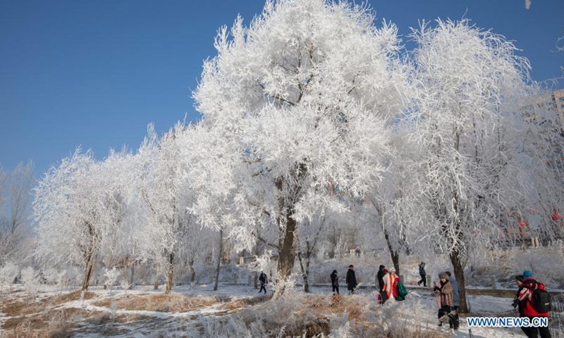 Visitors enjoy frosty scenery along Songhua River in Jilin City ...