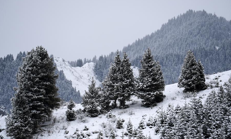 View of snow-covered Cheshi Ancient Trail in Xinjiang - Global Times