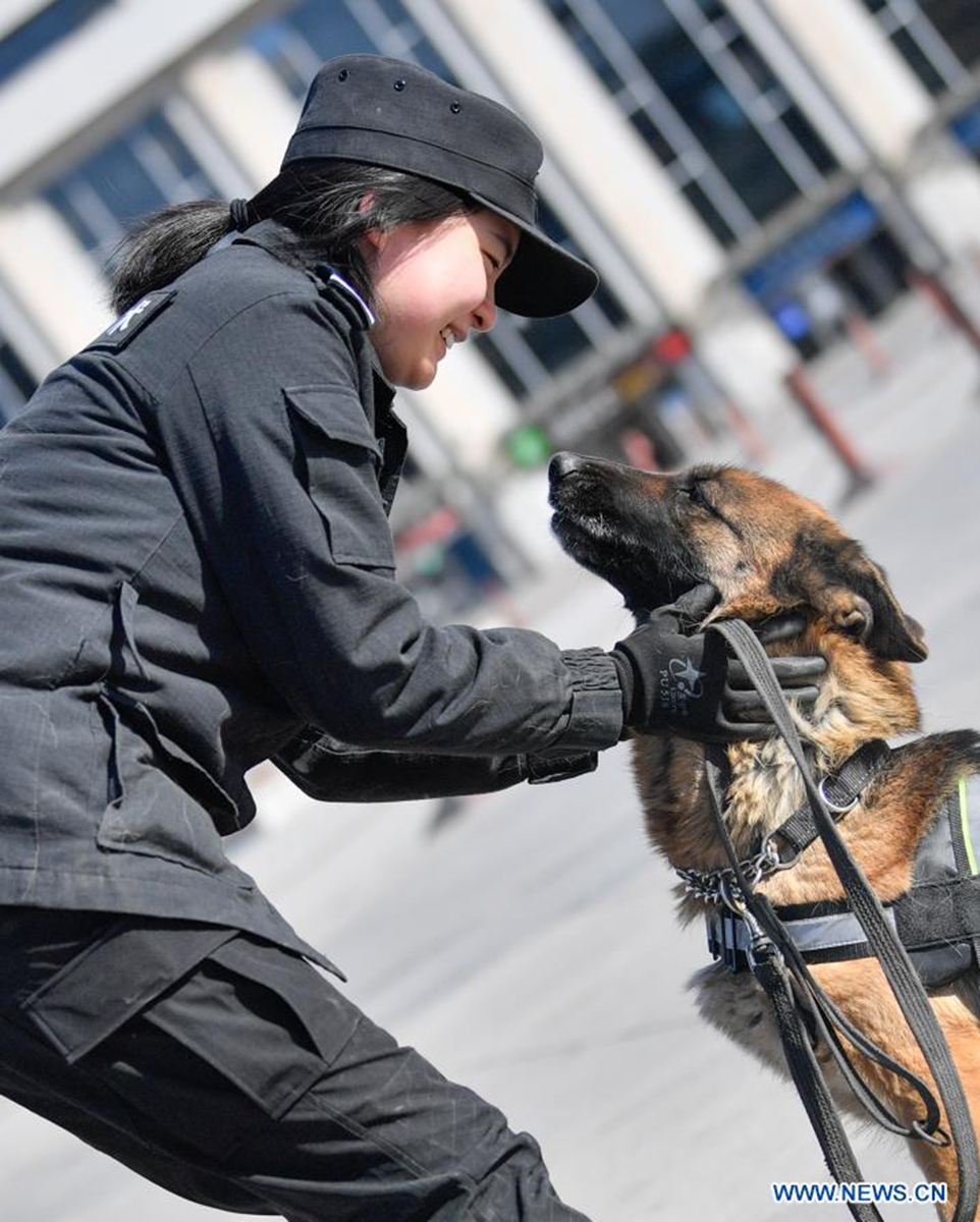 Police dogs join patrols at railway stations to ensure passenger safety ...