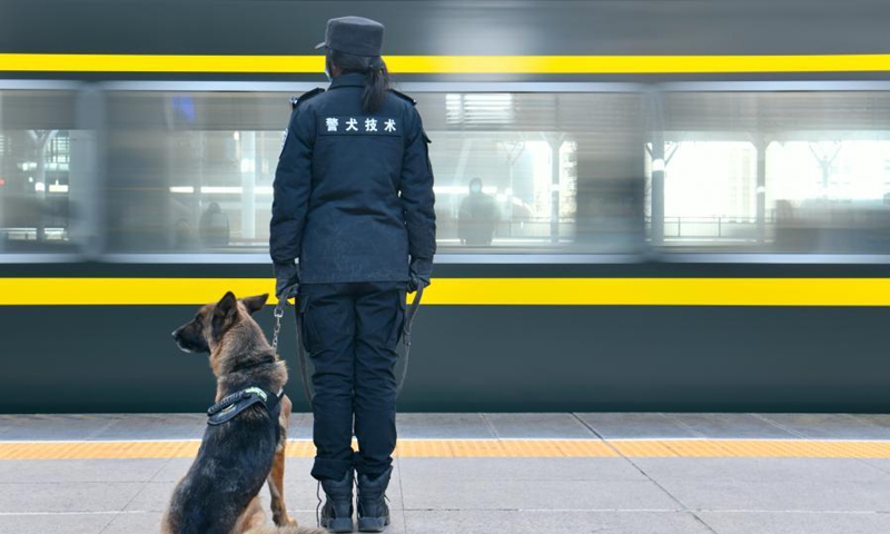 Police dogs join patrols at railway stations to ensure passenger safety ...