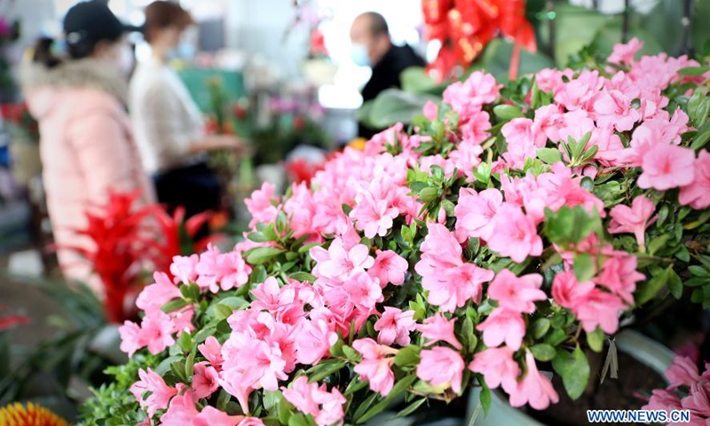 Flowers become popular among customers in Liaoning as Spring Festival ...