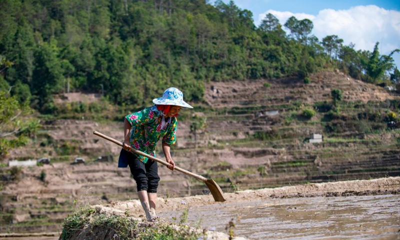 Scenery of terraced fields in Yunnan - Global Times