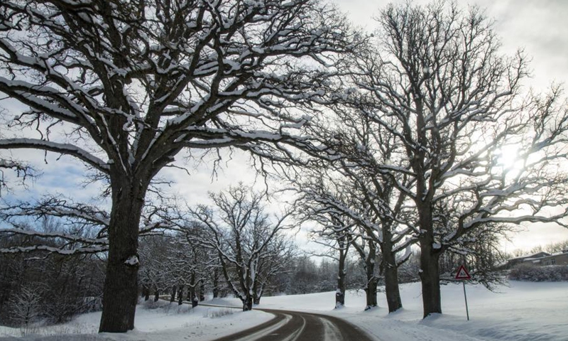 Winter scenery in Cesis, Latvia - Global Times