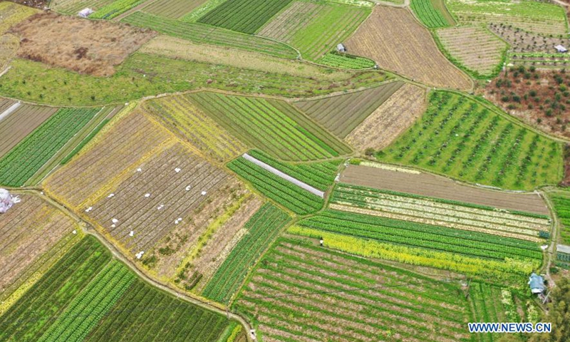 Scenery of Xinhe Village in Guangxi - Global Times