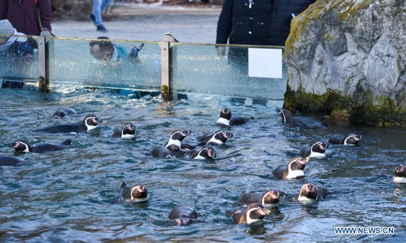 Animals seen at Schonbrunn Zoo in Vienna, Austria - Global Times