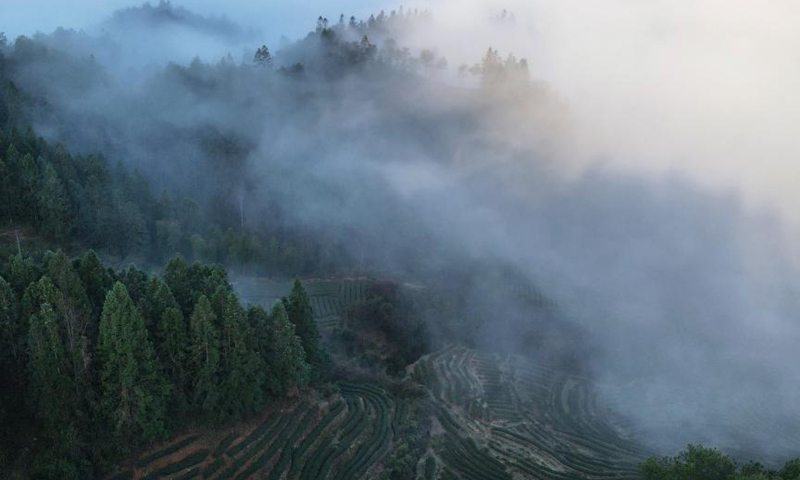 Cloud scenery at Wuyi Mountain scenic spot, Fujian - Global Times