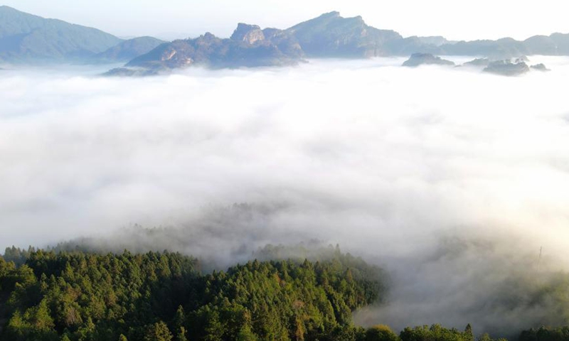 Cloud scenery at Wuyi Mountain scenic spot, Fujian - Global Times