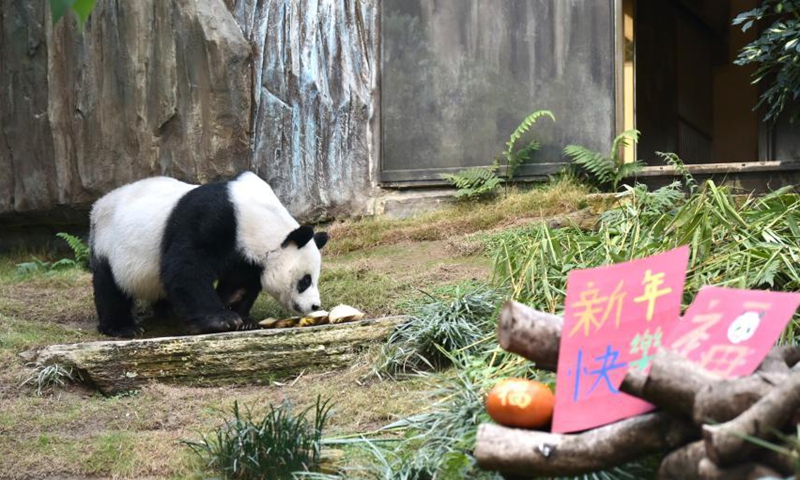 Giant panda An An welcomes visitors at reopened Hong Kong Ocean Park ...