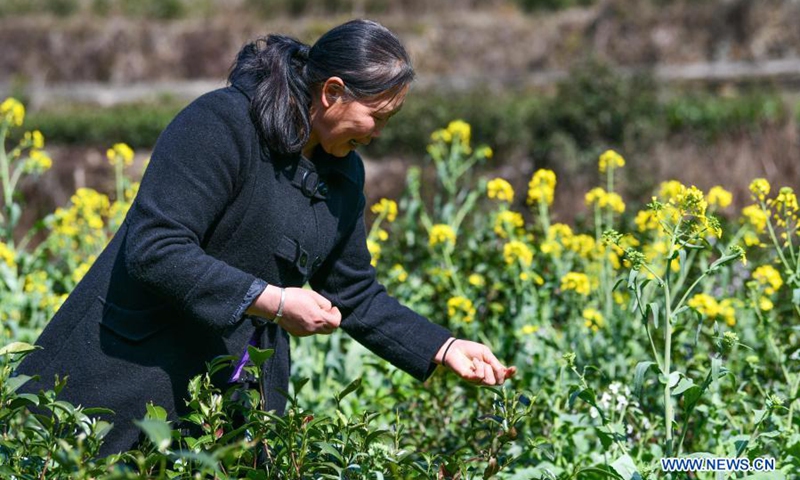 Villagers in Guizhou busy with farm work in early spring - Global Times