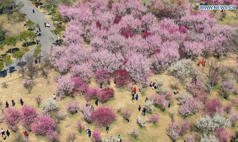 Spring scenery across China - Global Times