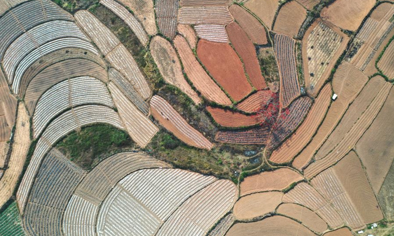 Farmers busy with farm work across China - Global Times