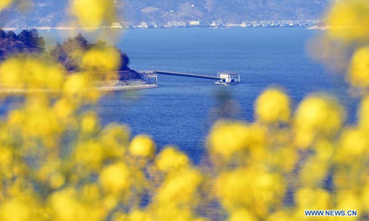 Scenery of spring flowers across China - Global Times