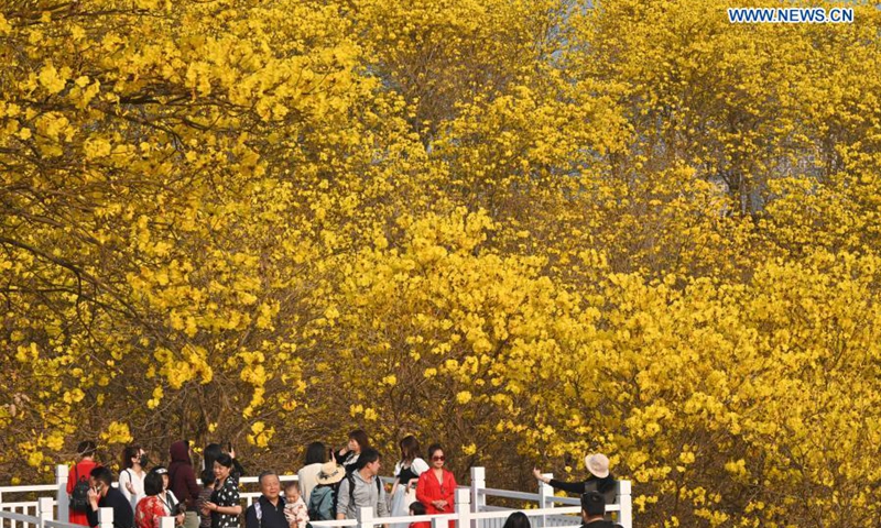 Spring scenery across China - Global Times