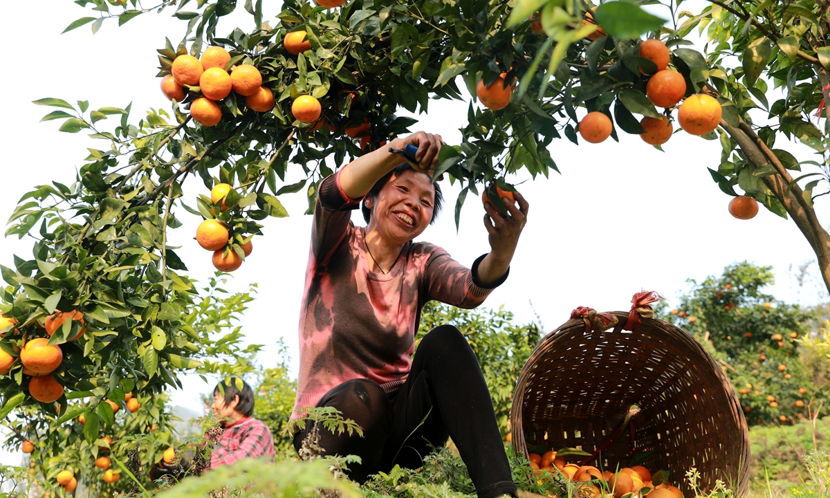 Pick of the crop - Global Times