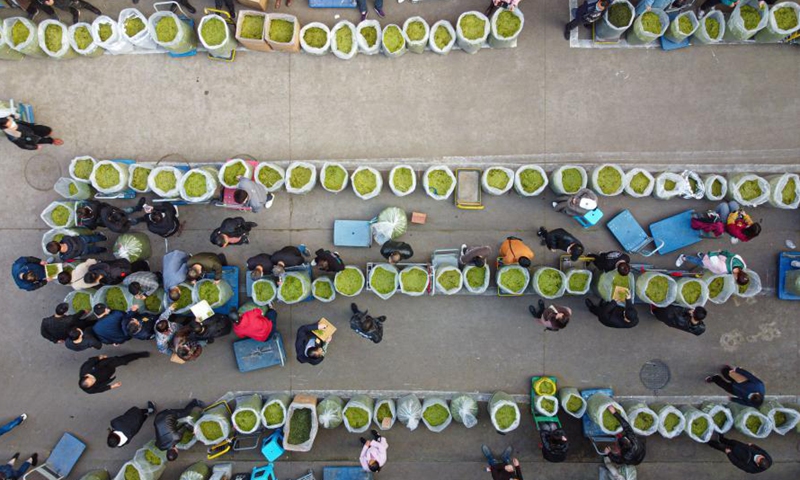 Tea market in Zhejiang sees daily tea trade value of about 20 million ...