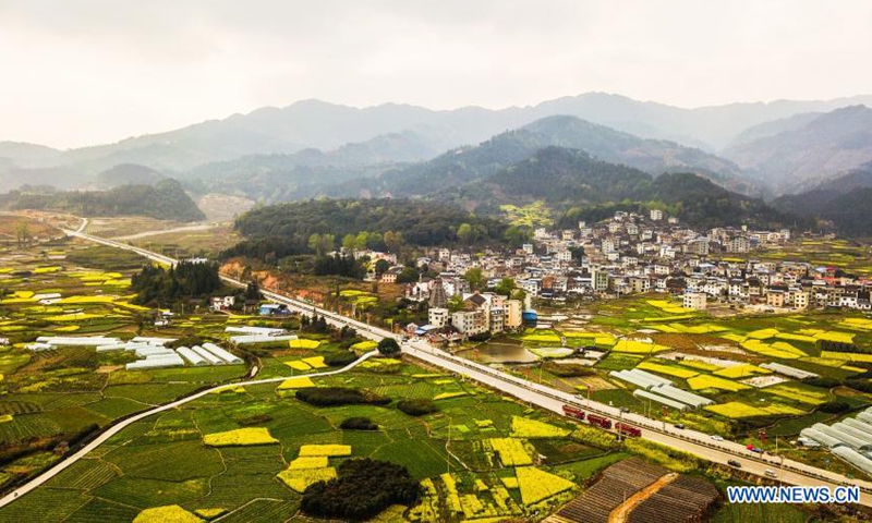 Spring scenery in Guizhou - Global Times