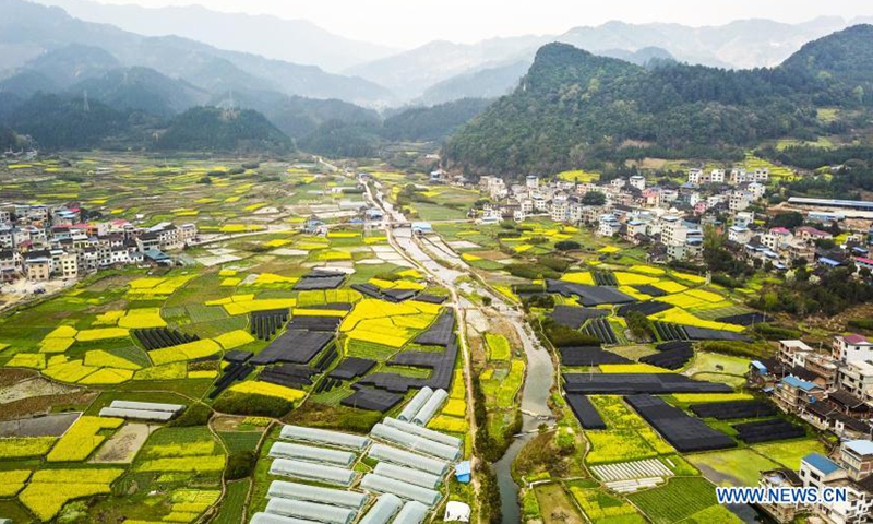 Spring scenery in Guizhou - Global Times