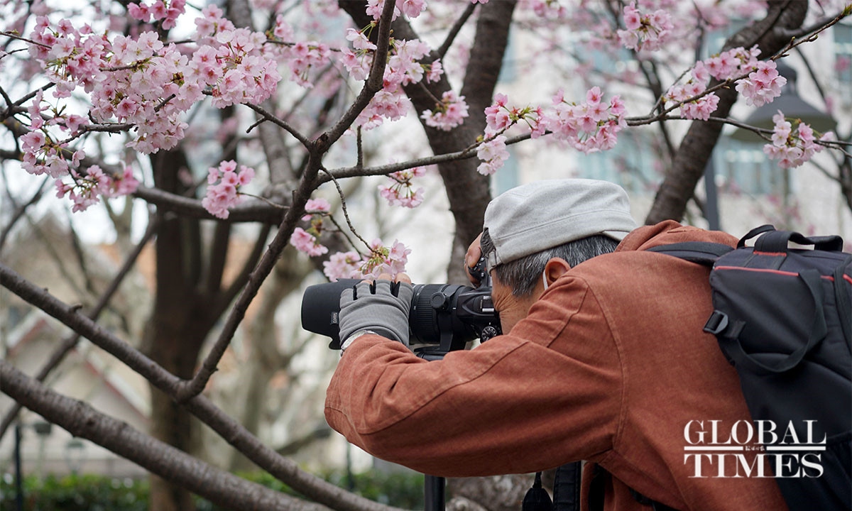 Shanghai residents enjoy beauty of Spring - Global Times