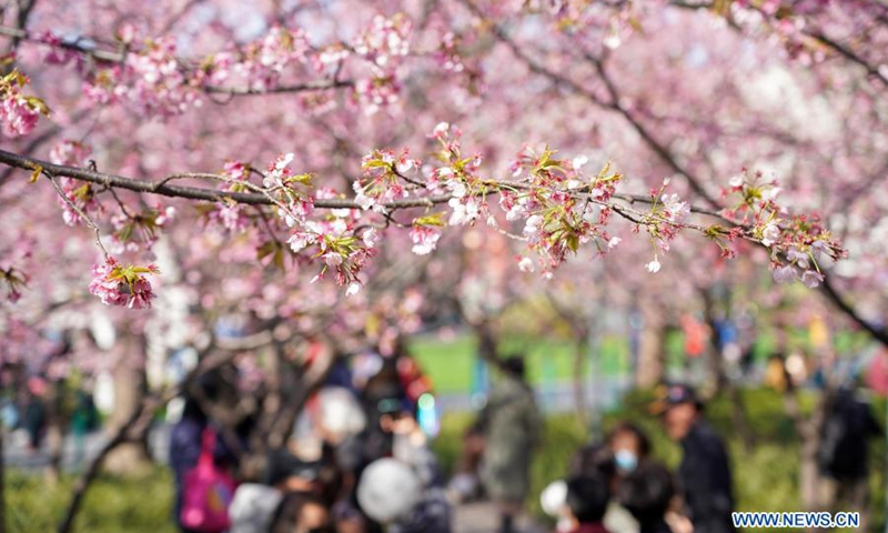Spring scenery across China - Global Times